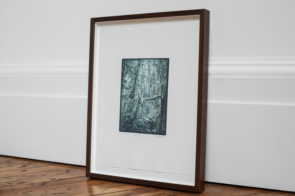 Thicket – Kristina Chan – Hancock Gallery