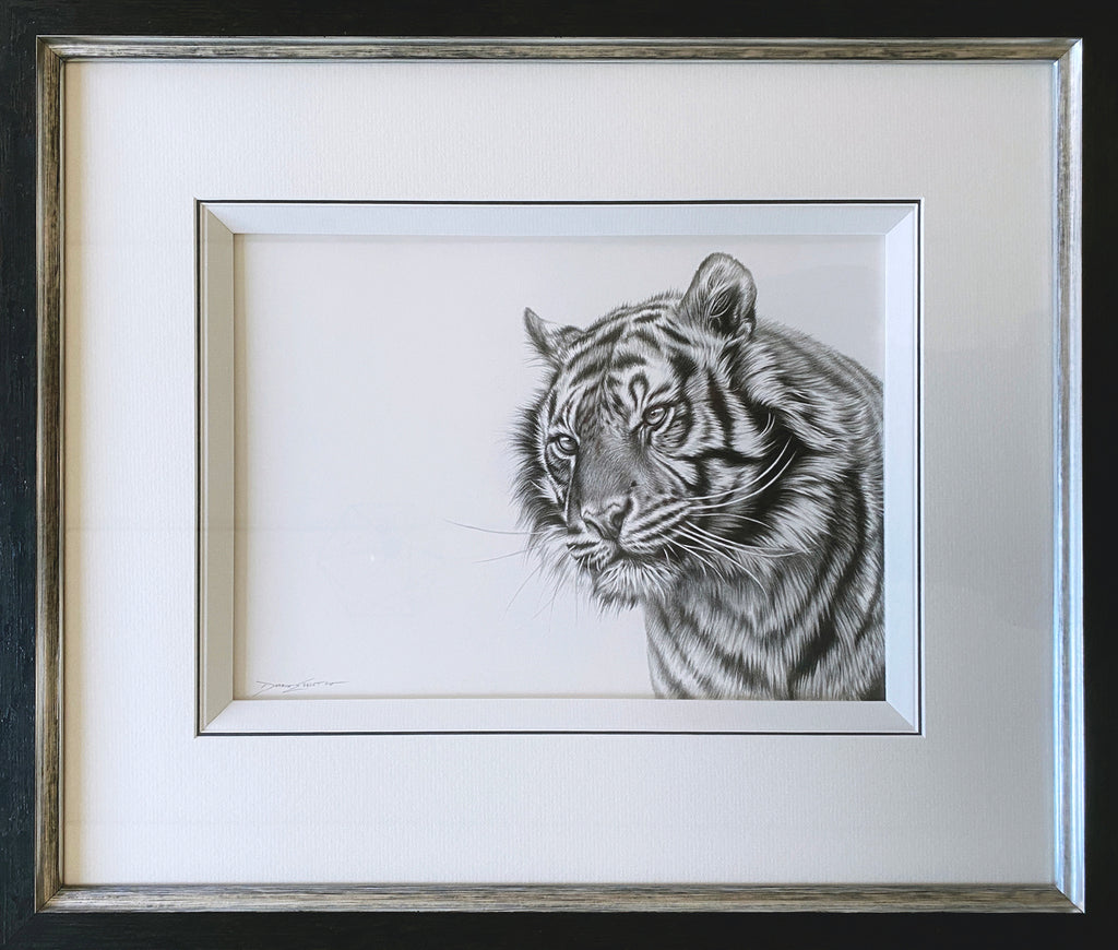 Tiger – Darryn Eggleton – Hancock Gallery